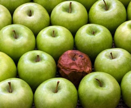 Colleges Requiring All SAT Scores Sent: Complete List