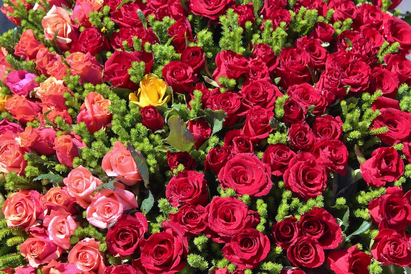 11 Rose Color Meanings to Help You Pick the Perfect Bouquet