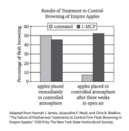 What's Tested on the SAT Writing Section? Grammar + Questions