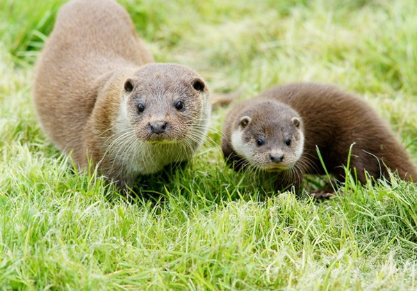 ACT Practice Tests: How to Reflect and Get the Most Out of Them