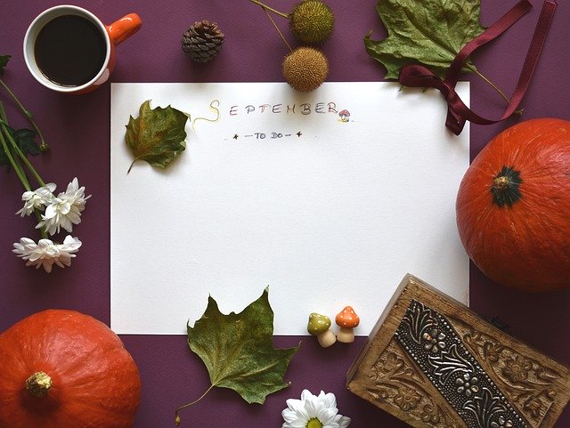 September SAT 2020: Everything You Need to Know